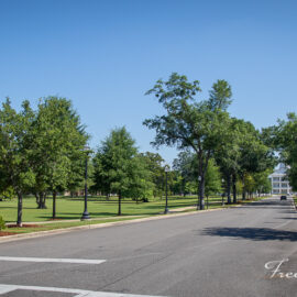 Bryce Hospital Museum – Alabama Department of Mental Health