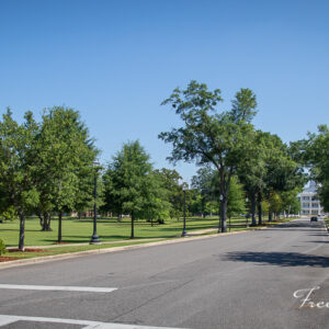 Bryce Hospital Museum – Alabama Department of Mental Health